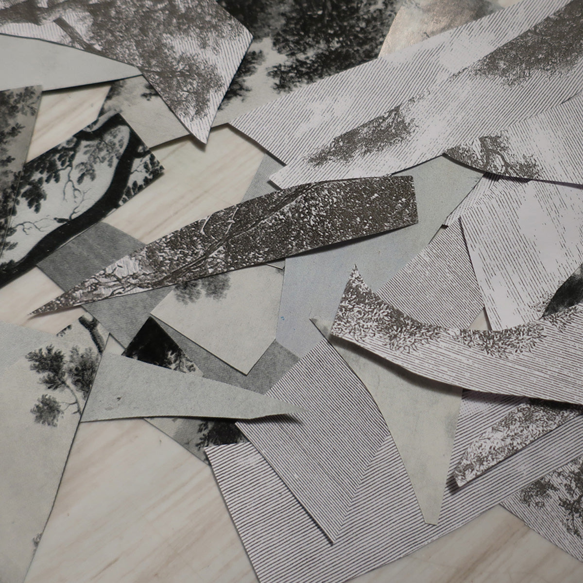 Elizabeth Willow - In the Window, December 2021 – Bluecoat Display Centre