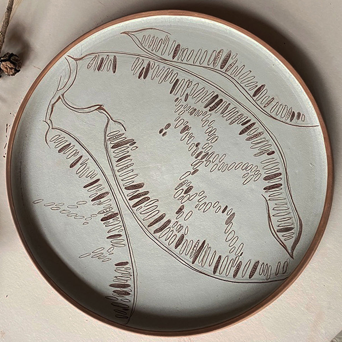 Vallari Harshwal – Bluecoat Display Centre