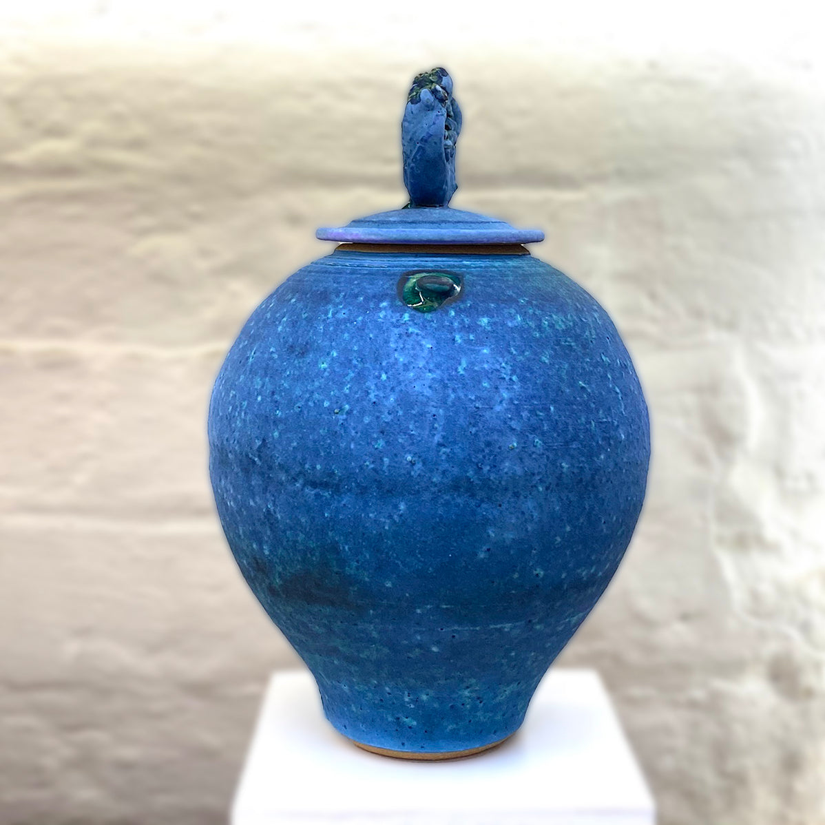 Medium Lidded Jar by Simon Shaw – Bluecoat Display Centre