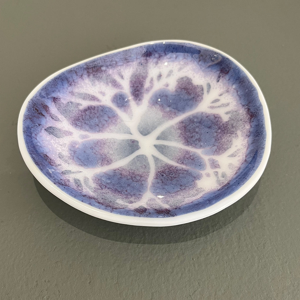 Large Blue Algae Dish by Verity Pulford – Bluecoat Display Centre