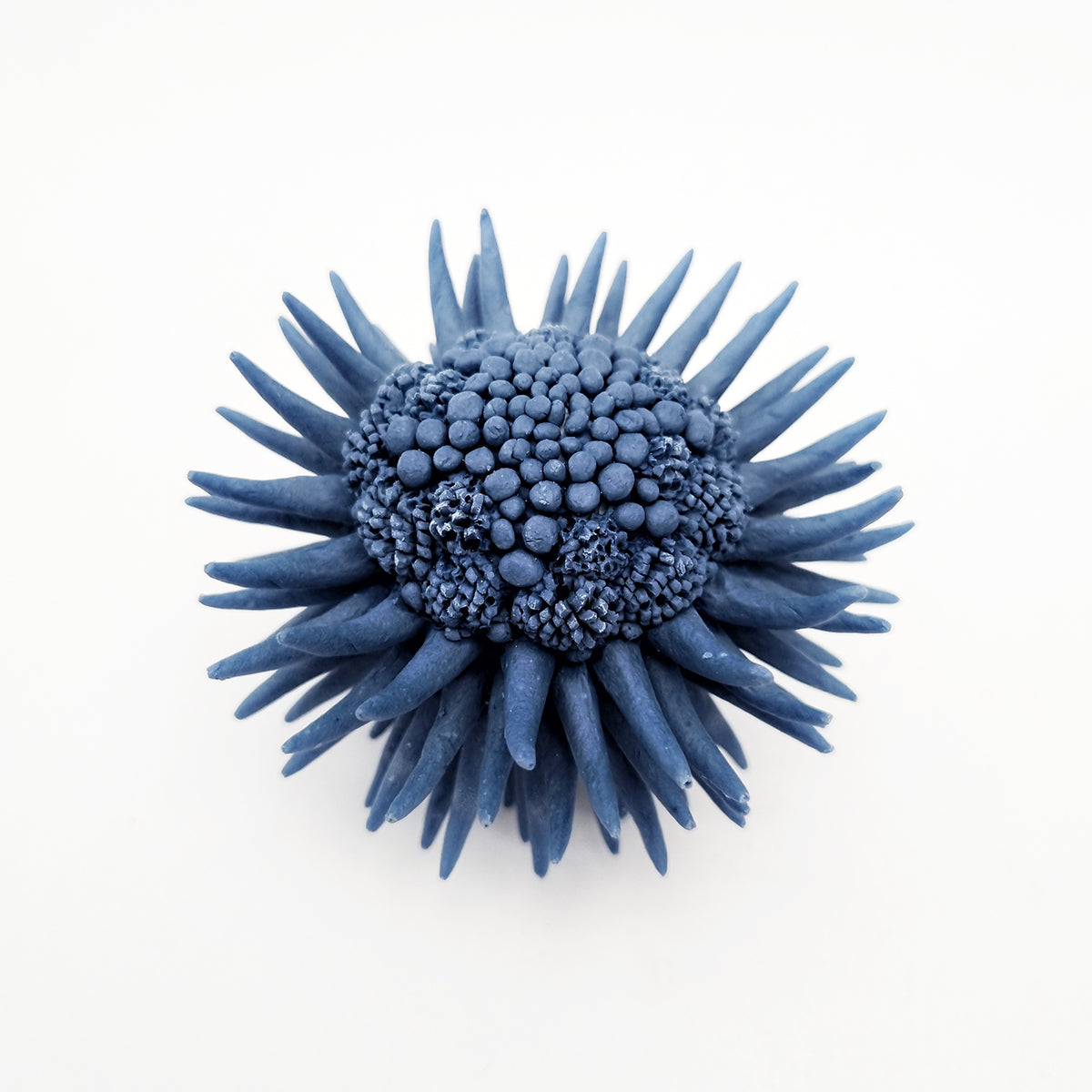 Caerula III by Erum Aamir – Bluecoat Display Centre